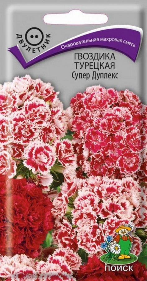 Семена Гвоздика Турецкая Супер Дуплекс 0,3гр. купить за 50 рублей в ...